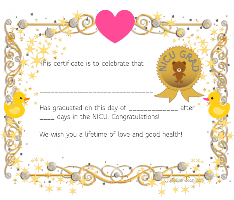 Free NICU Graduation Certificate – Full Color – Baby Animal Design ...