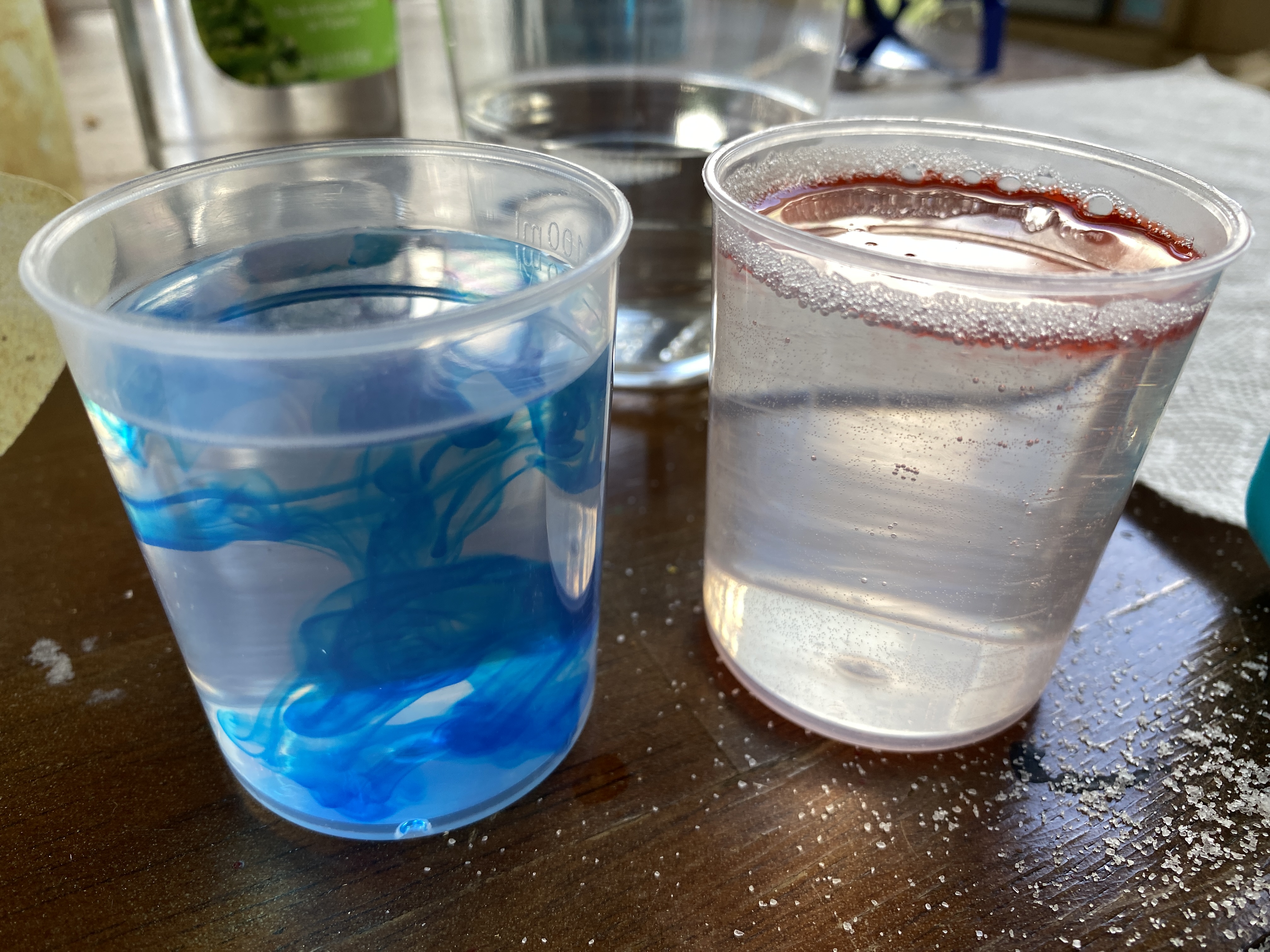 Salt Water versus Fresh Water Experiment - Curious and Cozy
